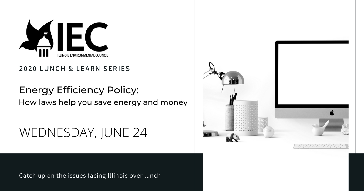 Energy Efficiency - Illinois Environmental Council Energy Efficiency - Illinois Environmental Council
