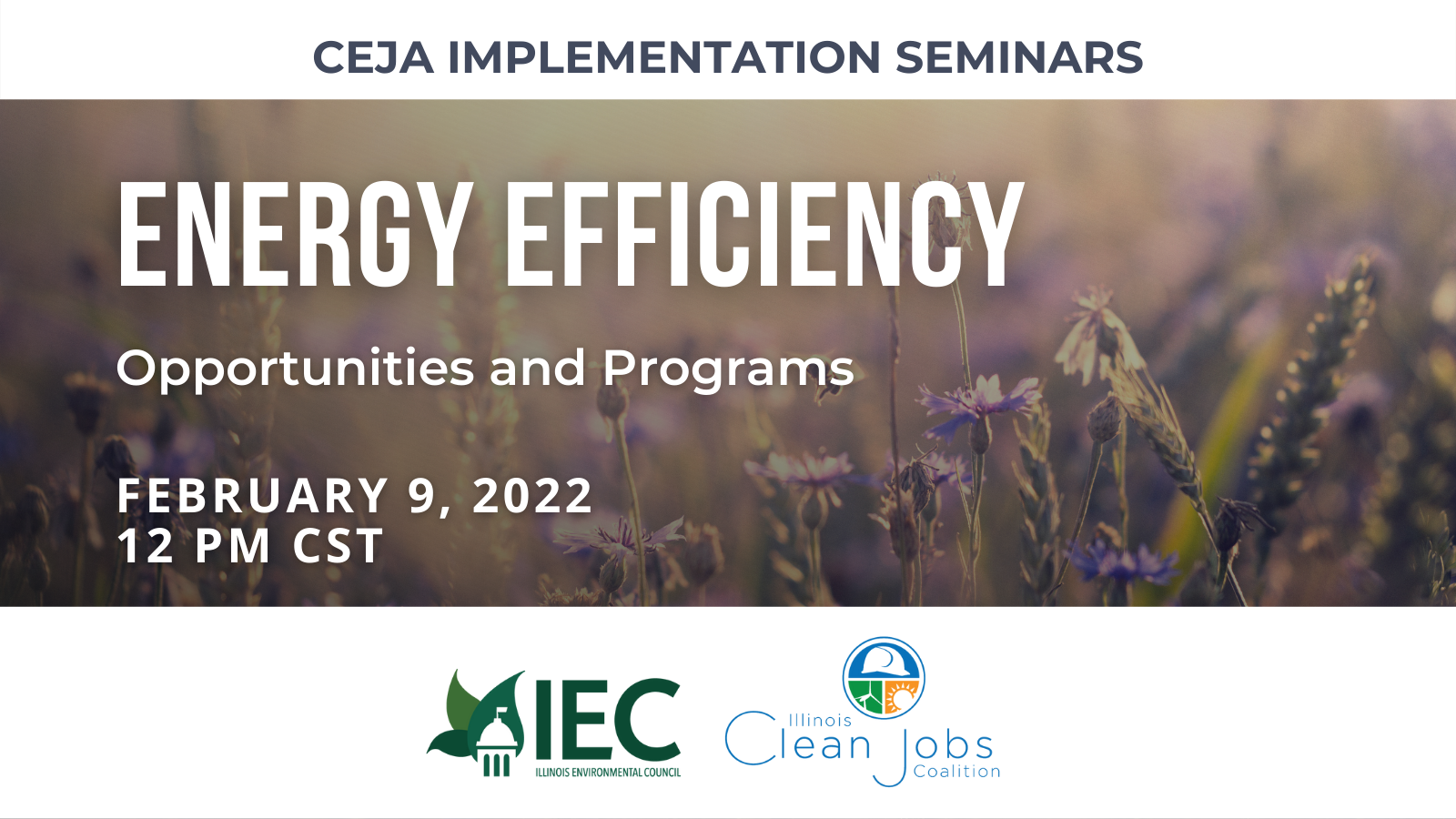 Energy Efficiency - Illinois Environmental Council