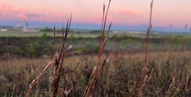 IEC Action Alerts - Illinois Environmental Council