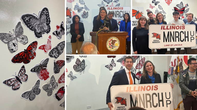 Taking Flight: The Story Behind Illinois’ Long Awaited Monarch License ...