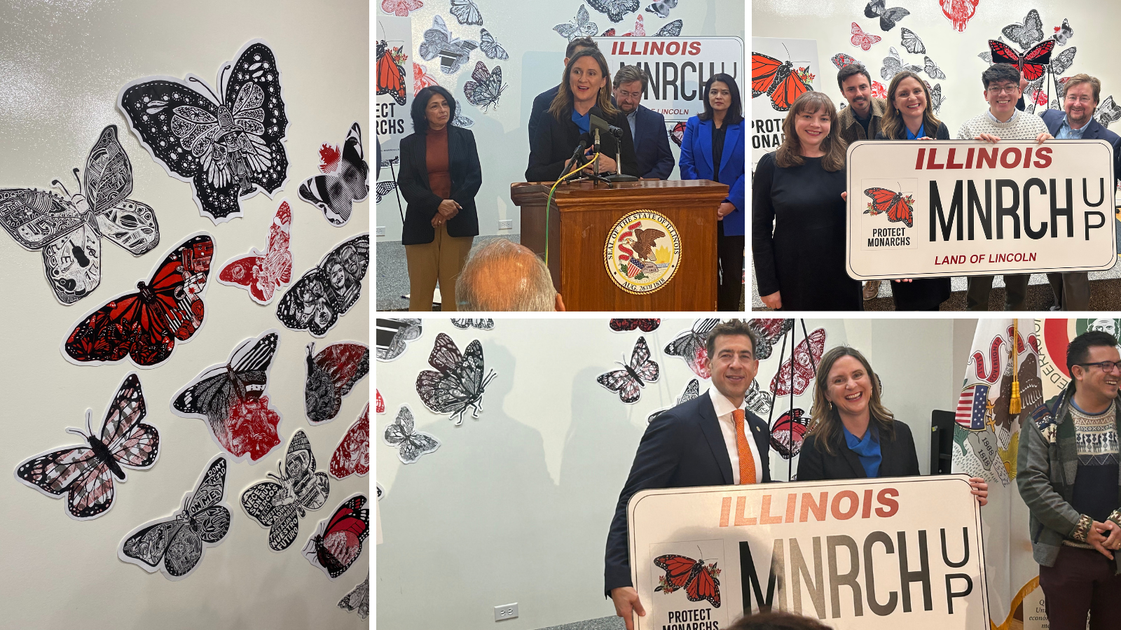 Taking Flight: The Story Behind Illinois’ Long Awaited Monarch License ...