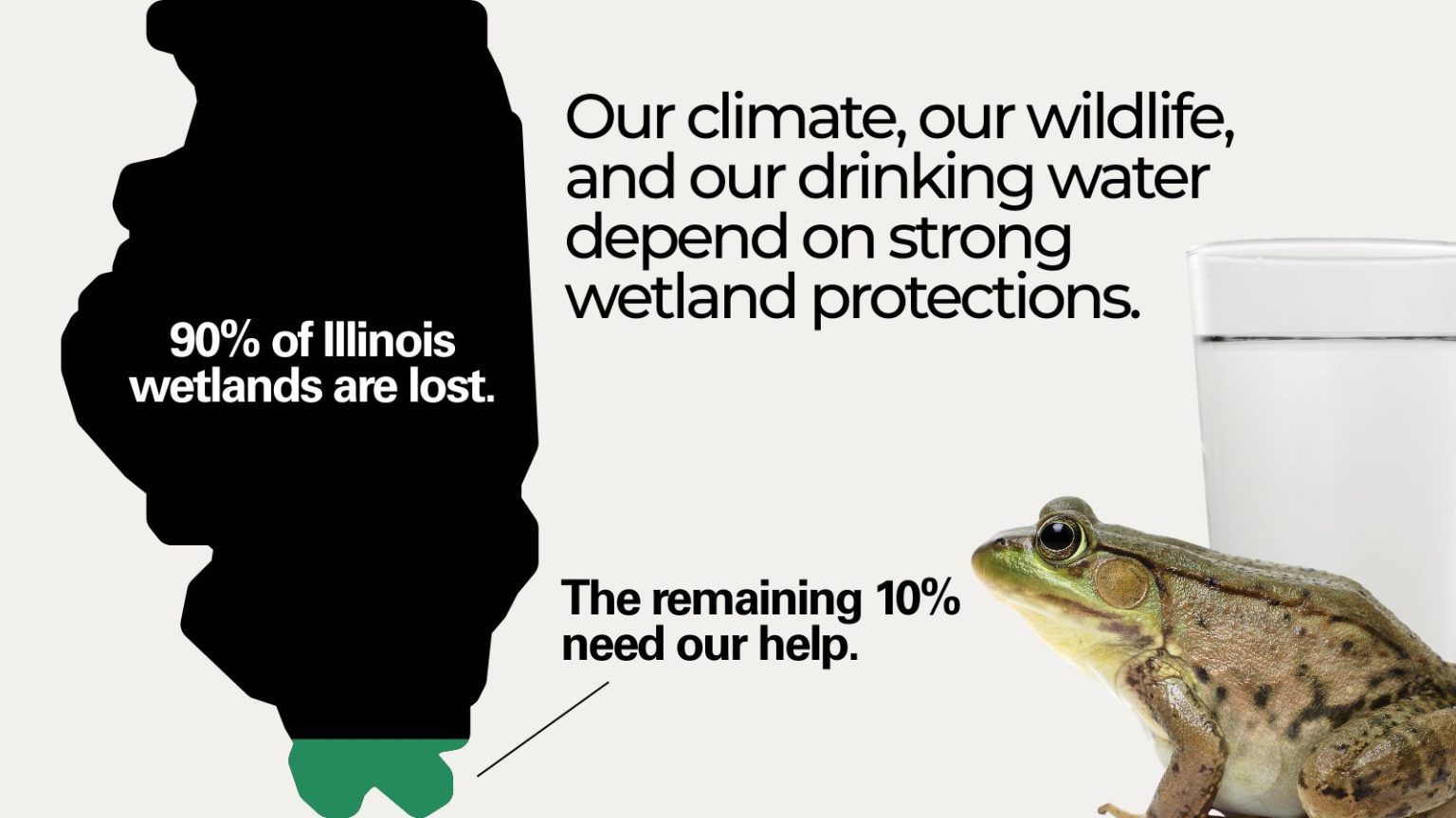 Saving Our Wetlands - Illinois Environmental Council